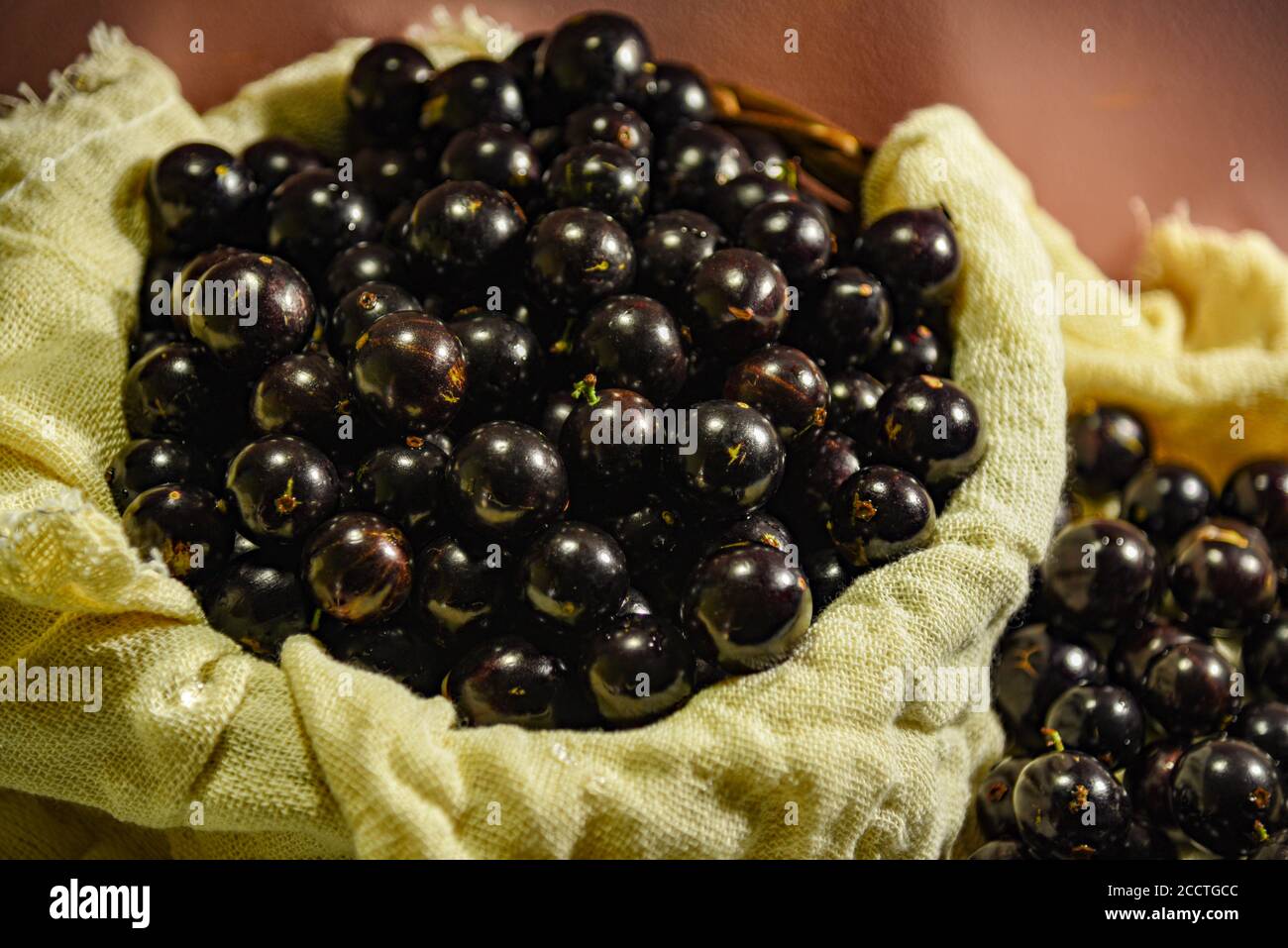 Jabuticaba is Brazilian fruit native to the Atlantic Forest. It has few ...