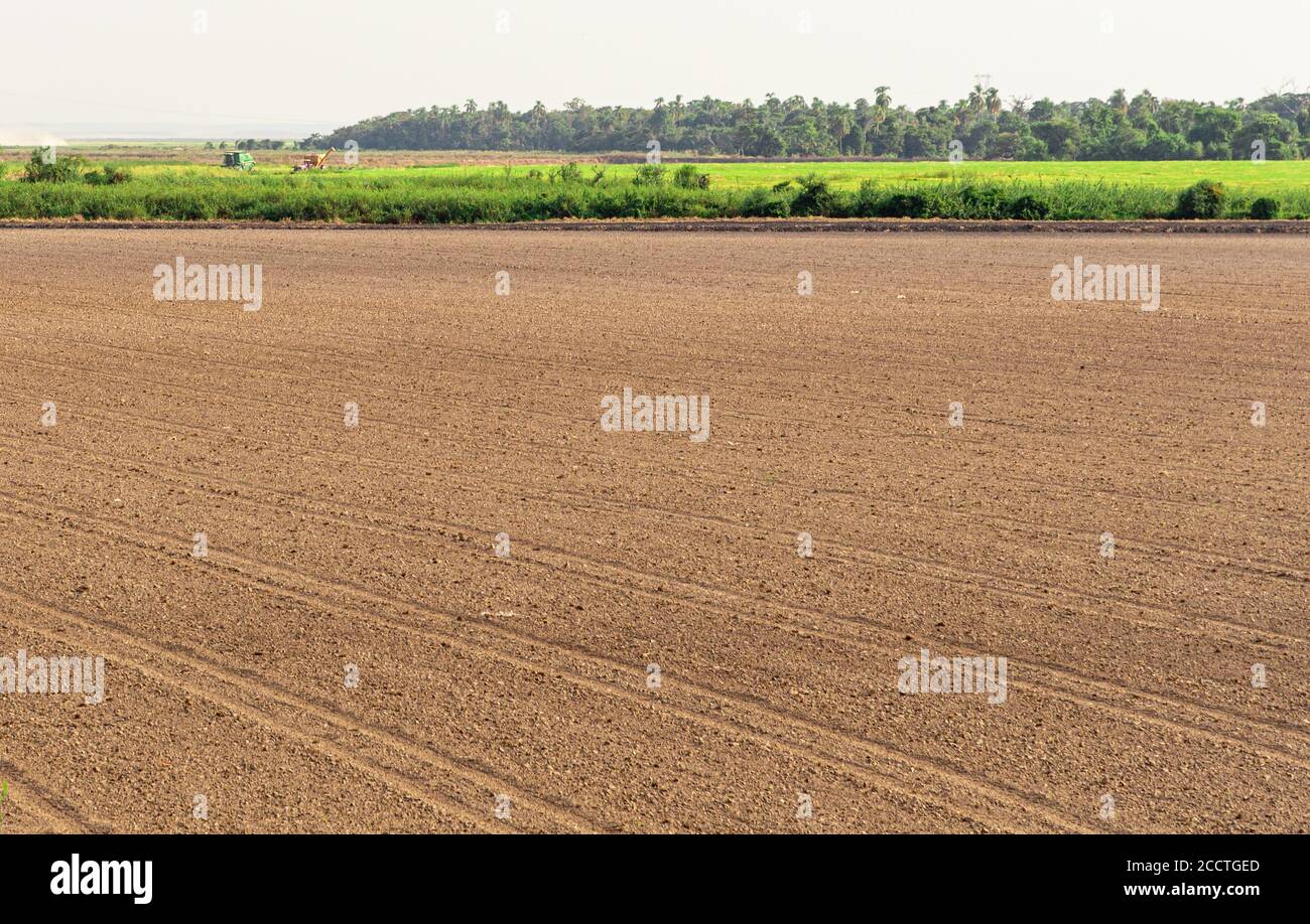 Land preparation. Planting and sowing of irrigated rice in southern ...