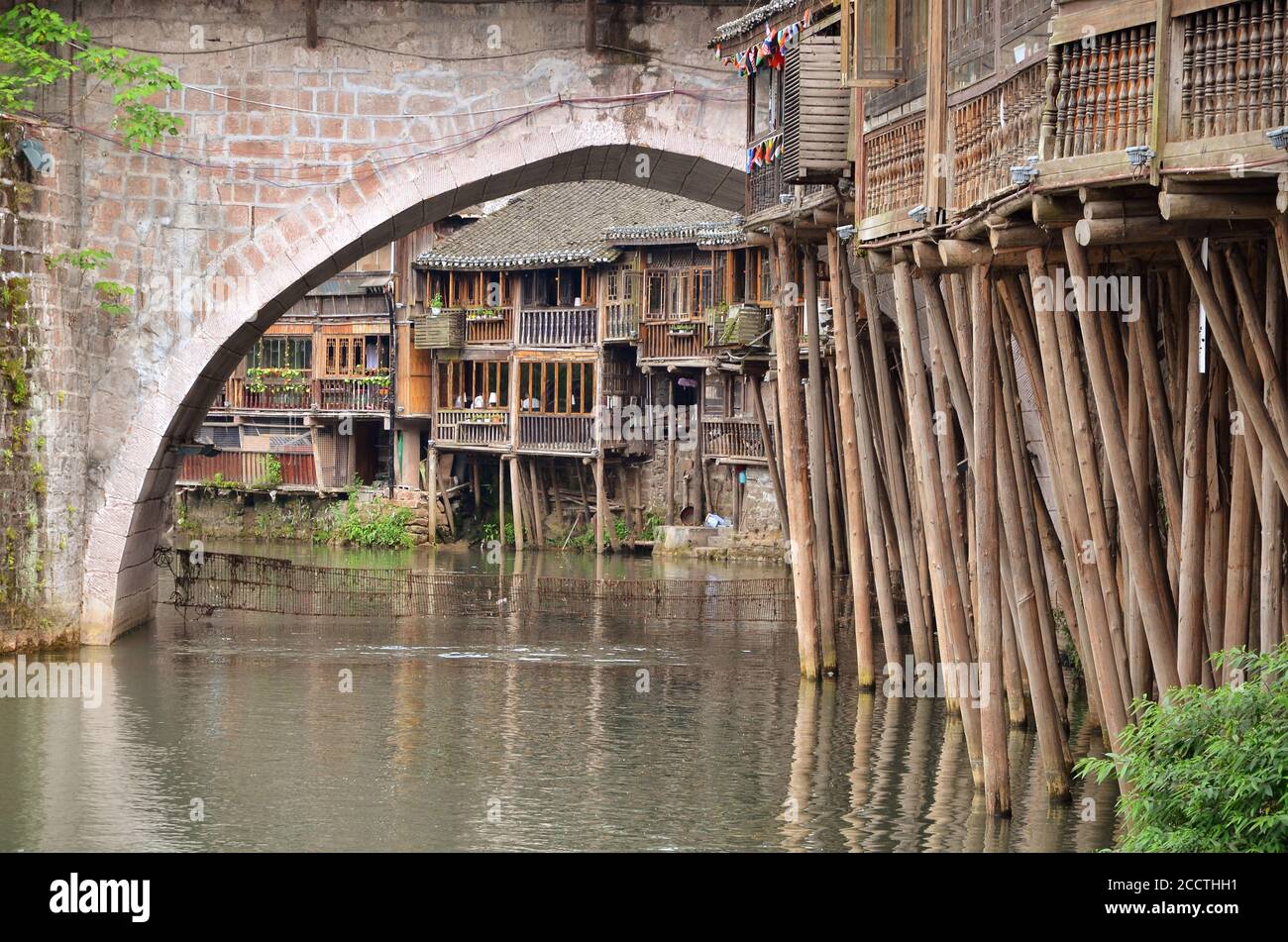 Phoenix hong hi-res stock photography and images - Alamy