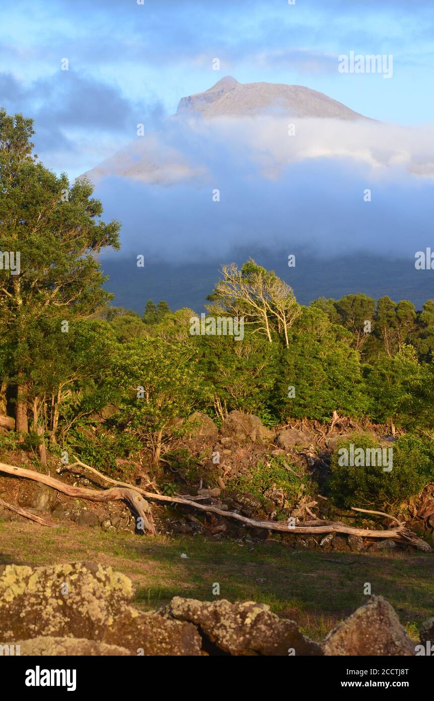 The conical Pico volcano looming over its namesake island (Azores ...
