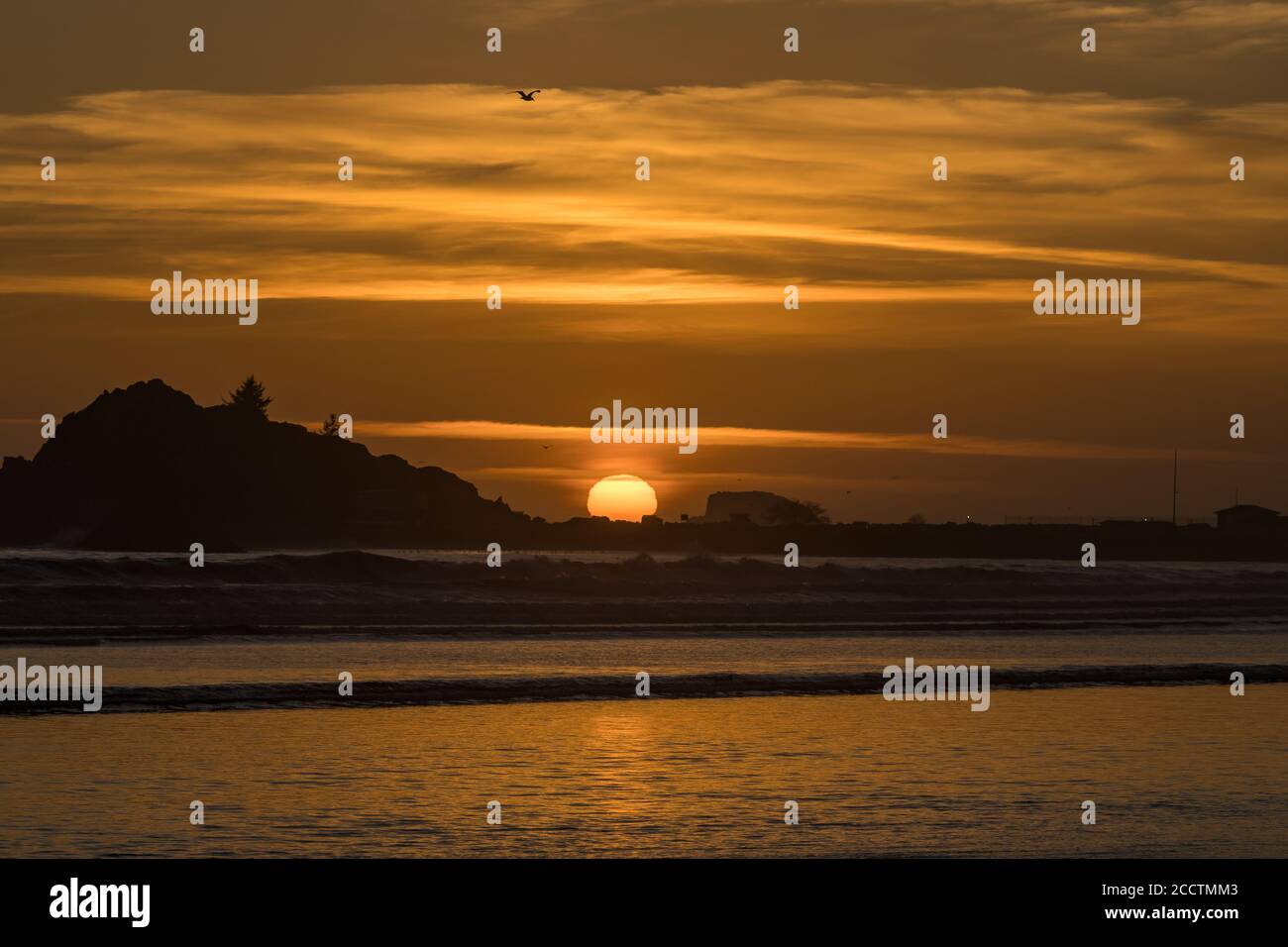 California crescent hi-res stock photography and images - Alamy
