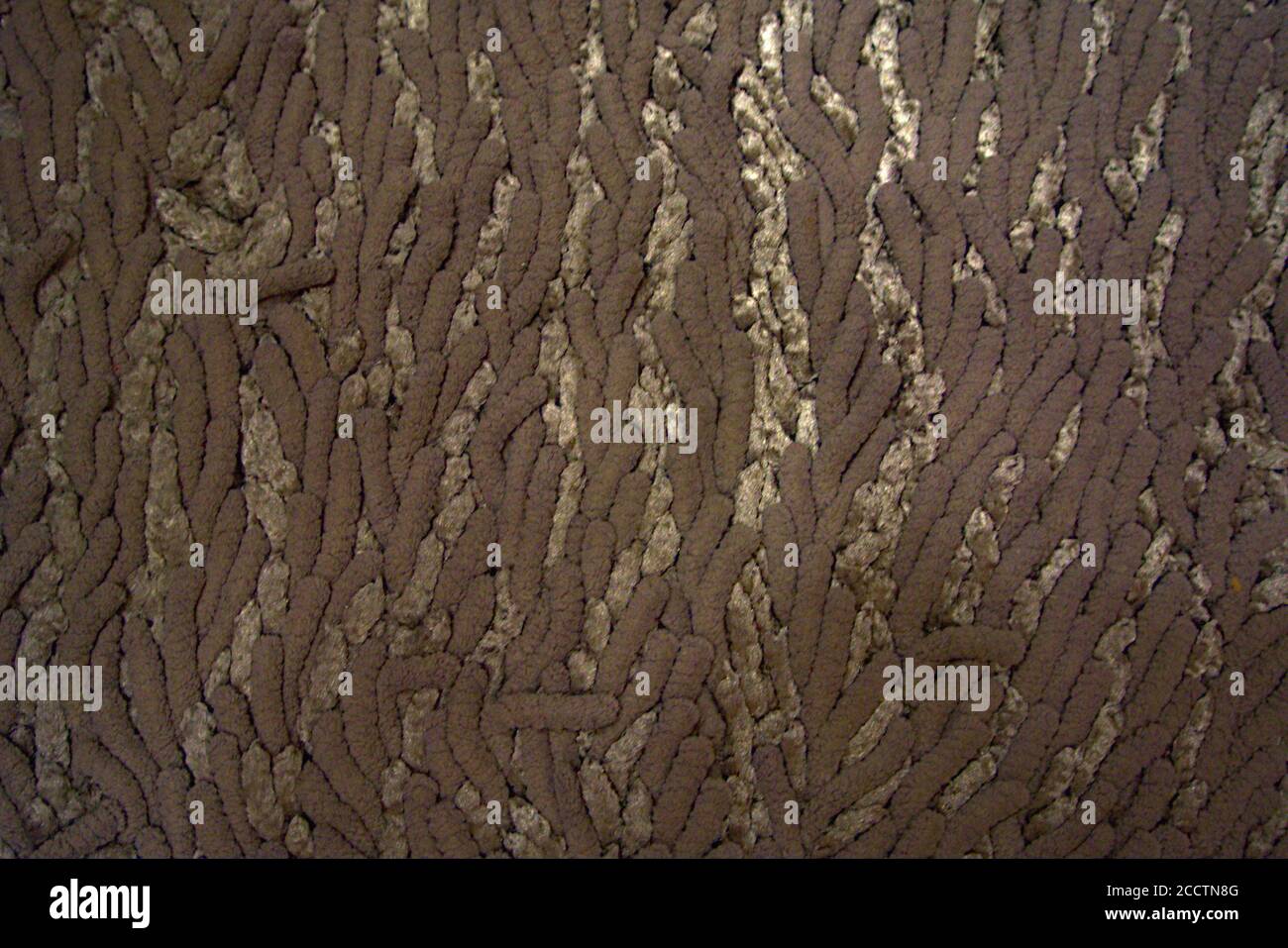 Surface textured forms hi-res stock photography and images - Alamy