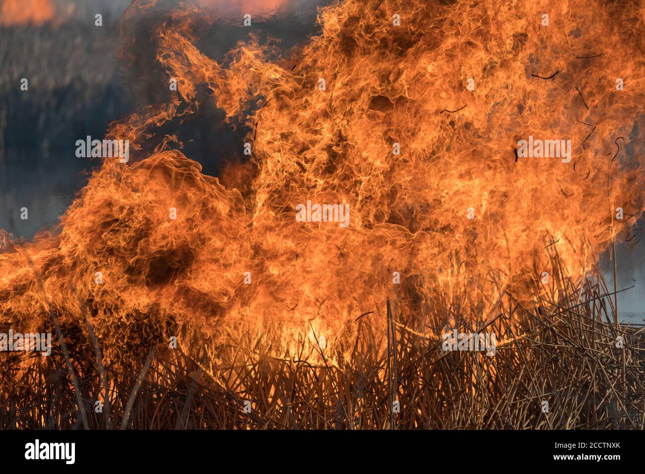 Klamath national forest hi-res stock photography and images - Alamy