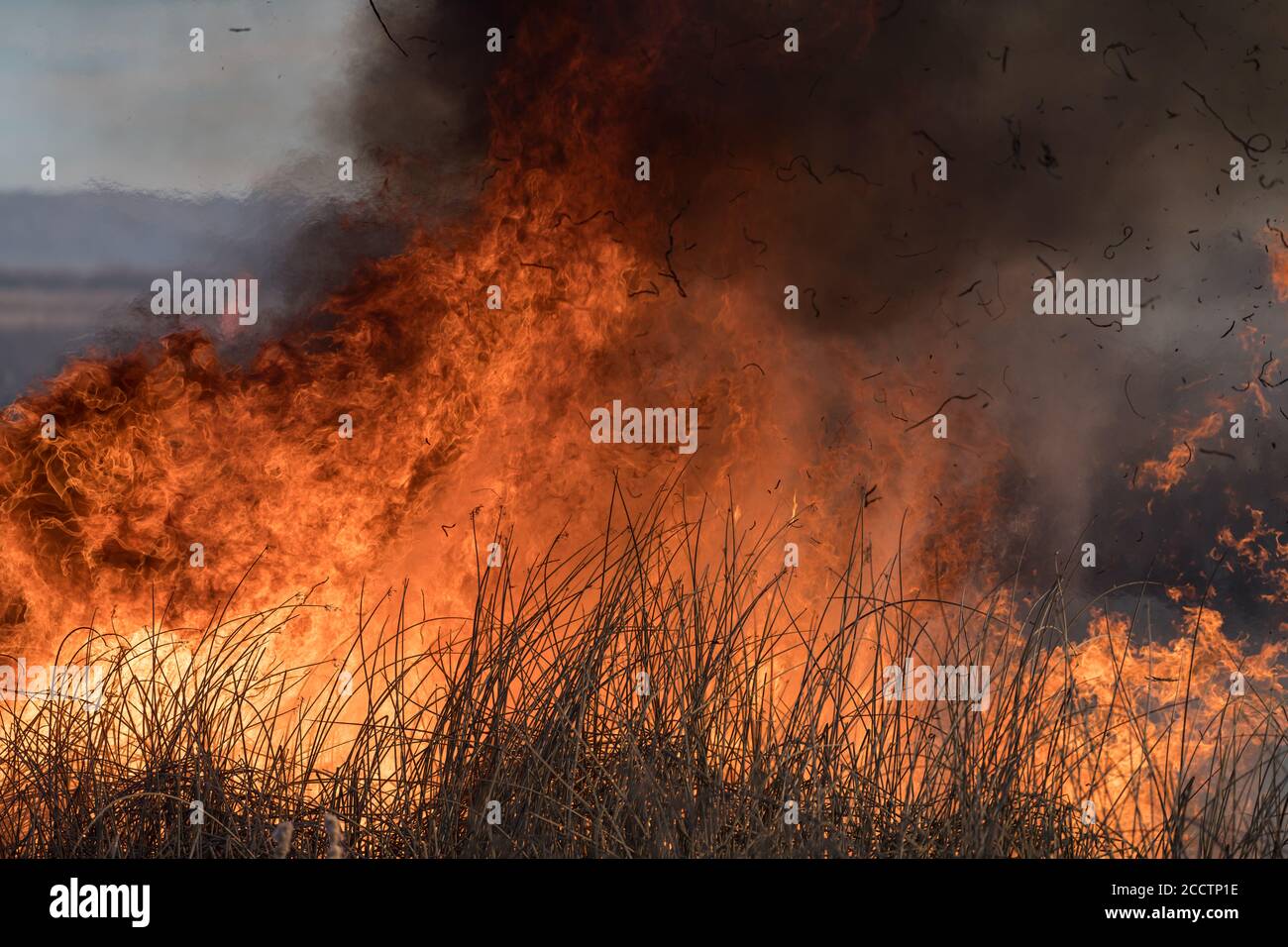 Klamath national forest hi-res stock photography and images - Alamy