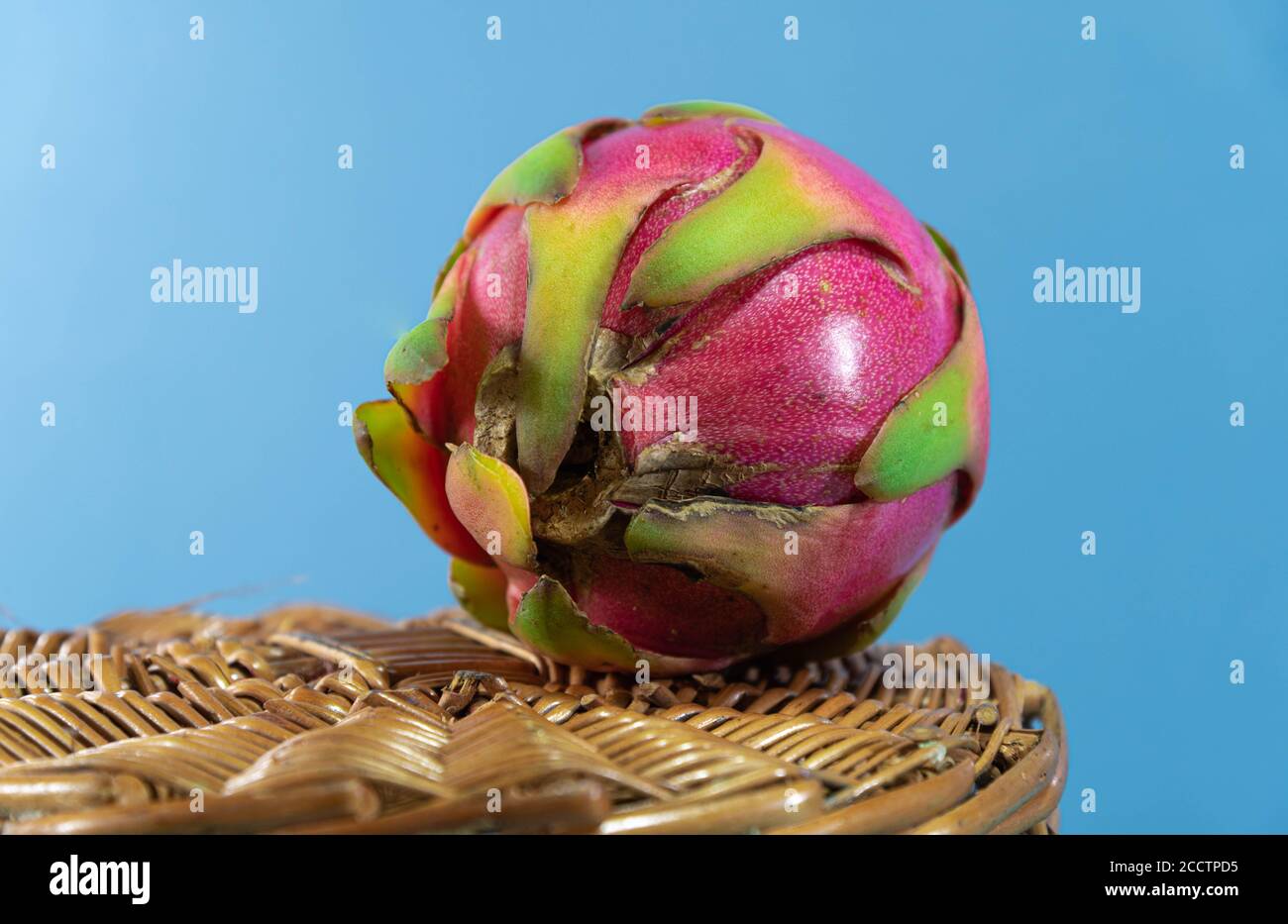 Pitaya fruits. Dragon fruit. Blue background. Pitaya is a natural fruit ...