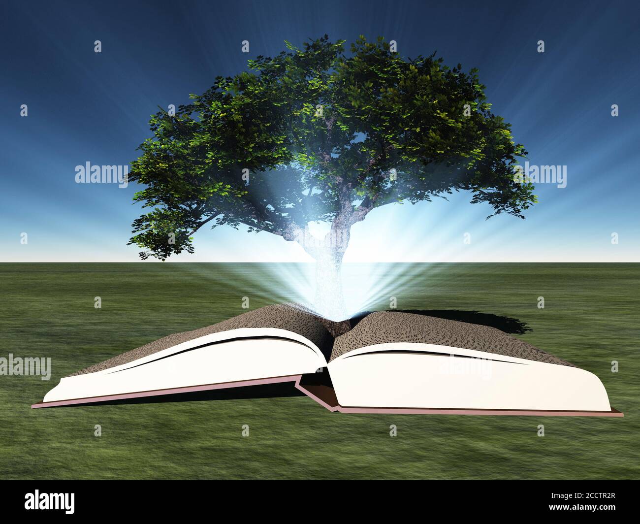 Tree of knowledge Stock Photo - Alamy