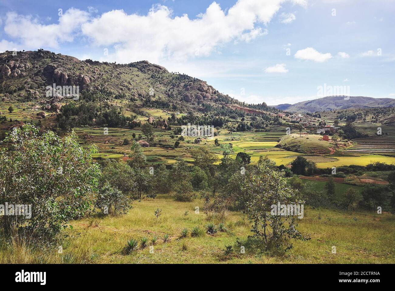 Rice terraces madagascar hi-res stock photography and images - Alamy