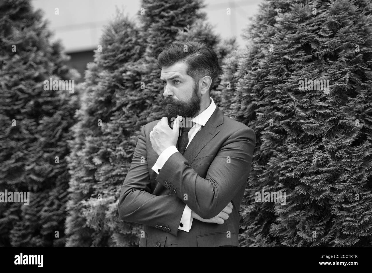 Esthete detail. bearded man in jacket near cypress tree. handsome man ...