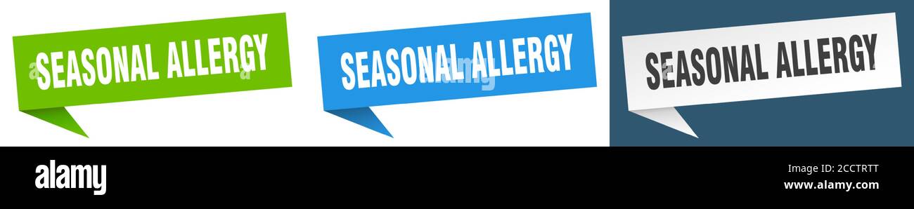 seasonal allergy banner sign. seasonal allergy speech bubble label set ...