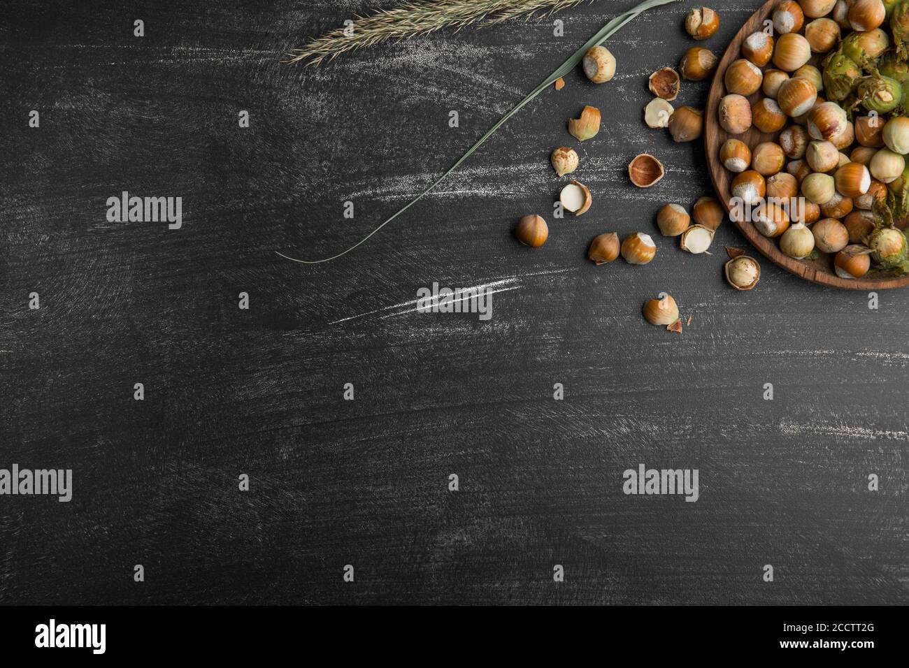 Green shells hi-res stock photography and images - Alamy