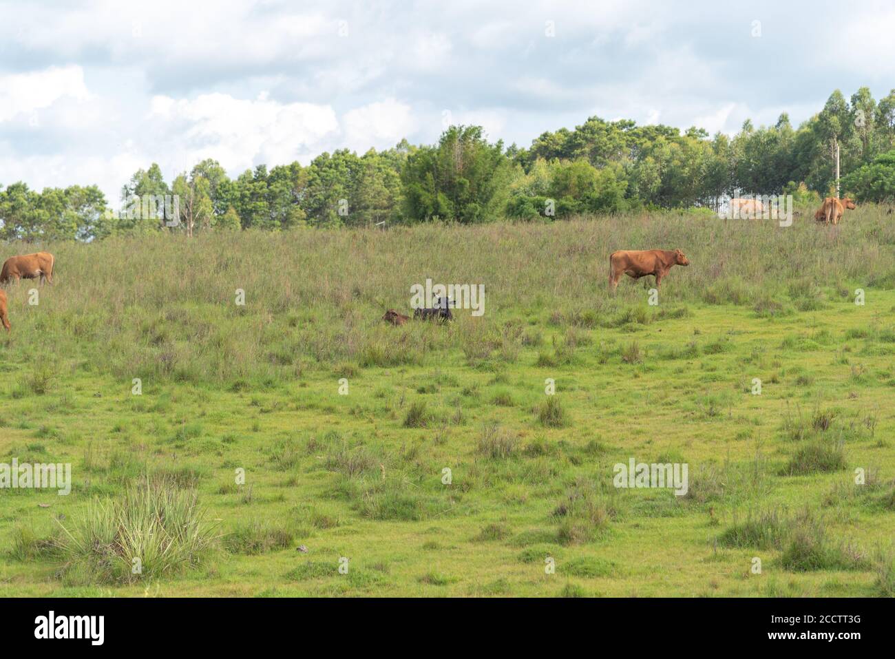 Exploitat hi-res stock photography and images - Alamy