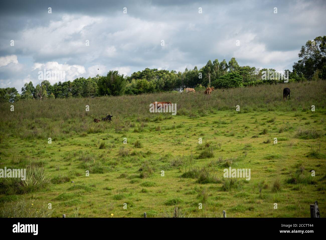 Exploitat hi-res stock photography and images - Alamy