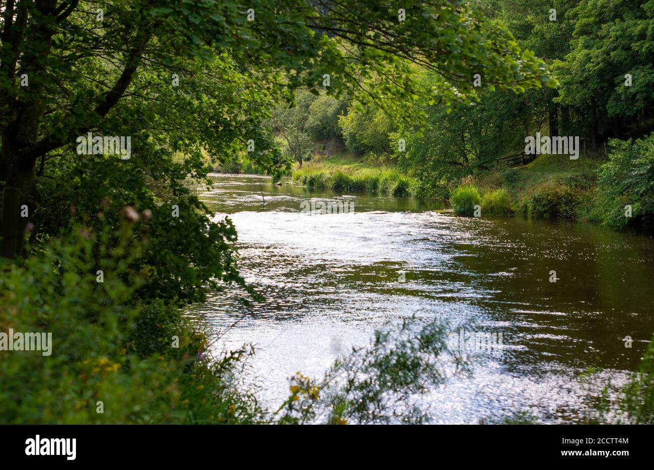 The River Till a tributary of the River Tweed near Etal, Northumberland ...