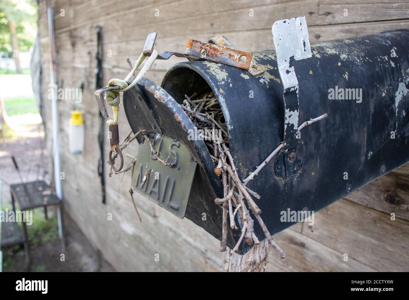 Letterbox nest box hi-res stock photography and images - Alamy