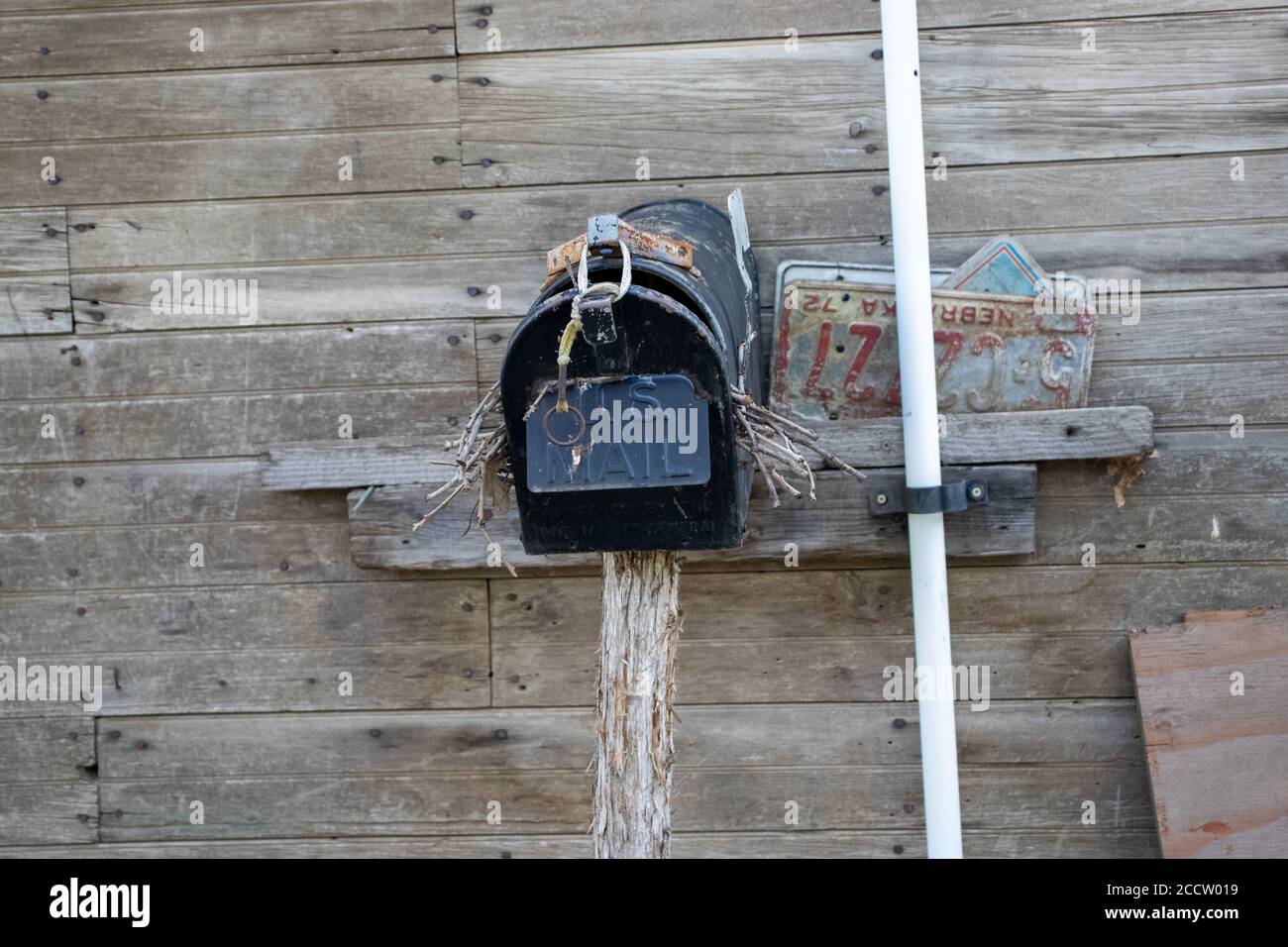 Letterbox nest box hi-res stock photography and images - Alamy