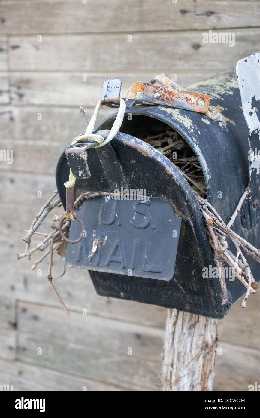 Letterbox nest box hi-res stock photography and images - Alamy