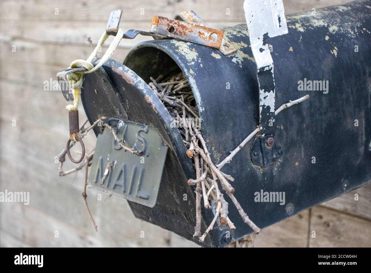 Letterbox nest box hi-res stock photography and images - Alamy