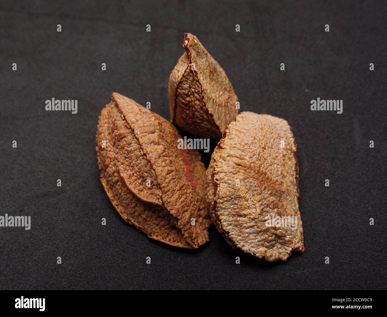 three Brazil nuts with shells arranged on a black background Stock ...