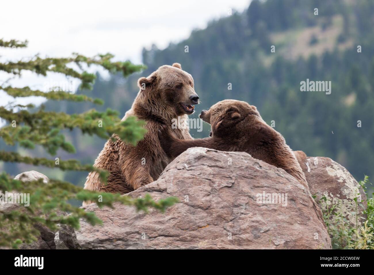 Pushing boulder hi-res stock photography and images - Alamy