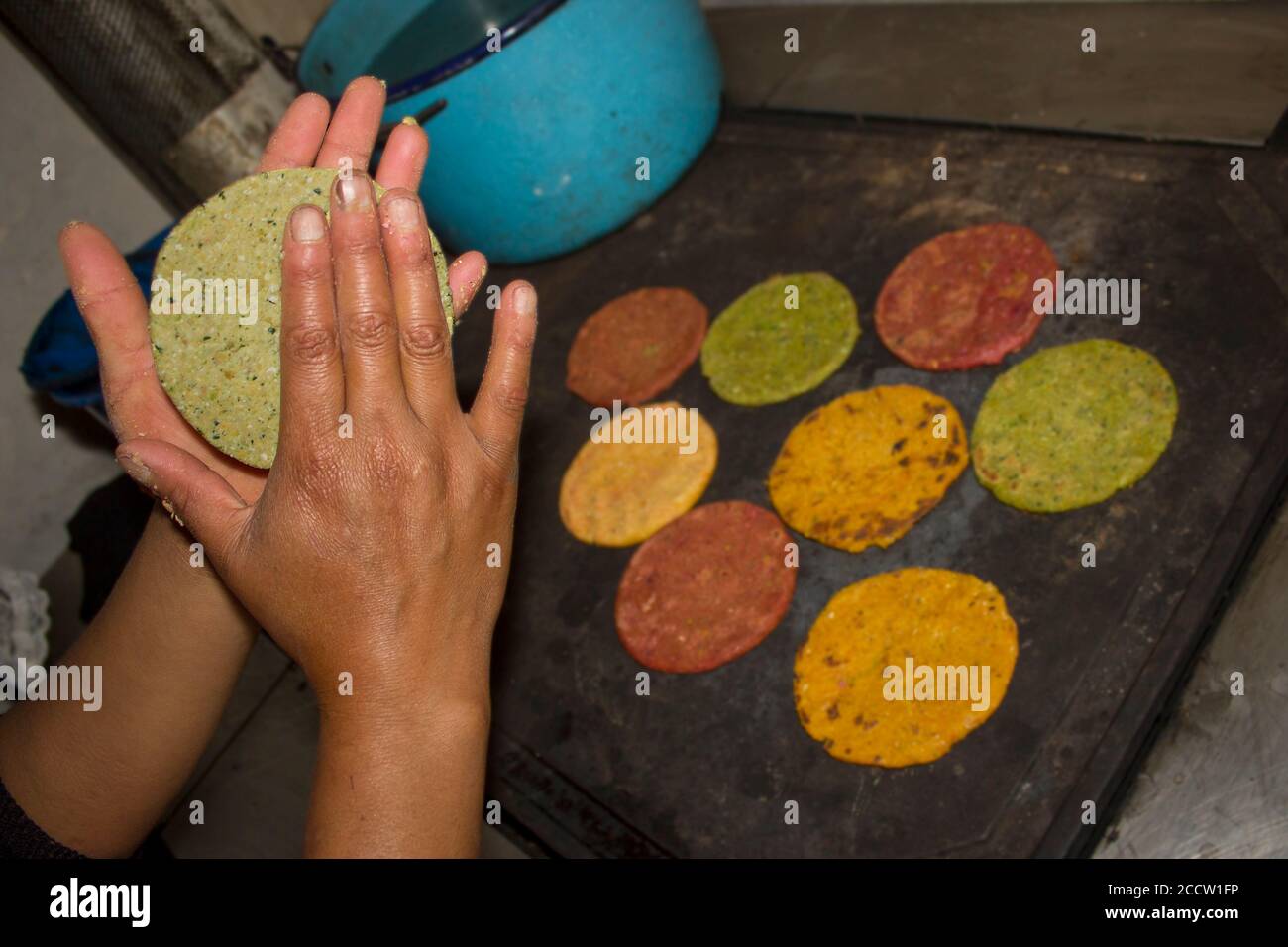 Woman´s hands making colorful corn tortillas, mixed with broccoli, beet ...
