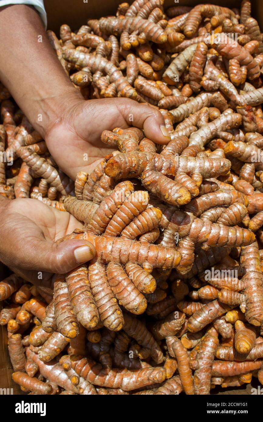 Harsh sun light hi-res stock photography and images - Alamy