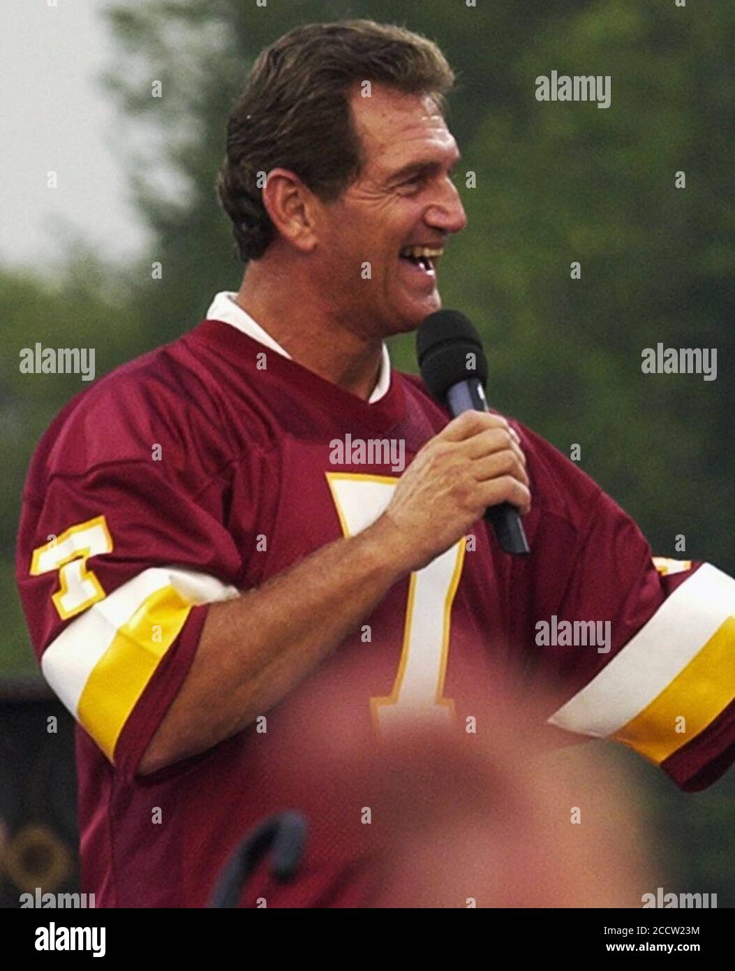 Theismann hi-res stock photography and images - Alamy