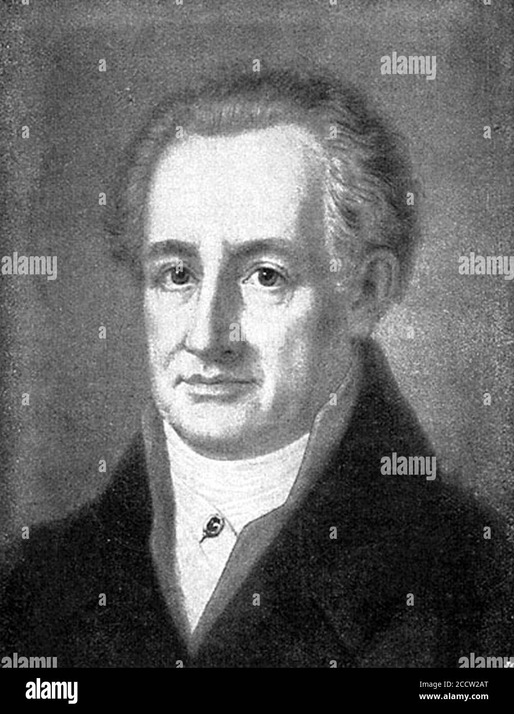 Goethe tree Black and White Stock Photos & Images - Alamy