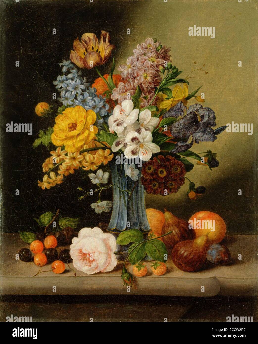 Modri hi-res stock photography and images - Alamy