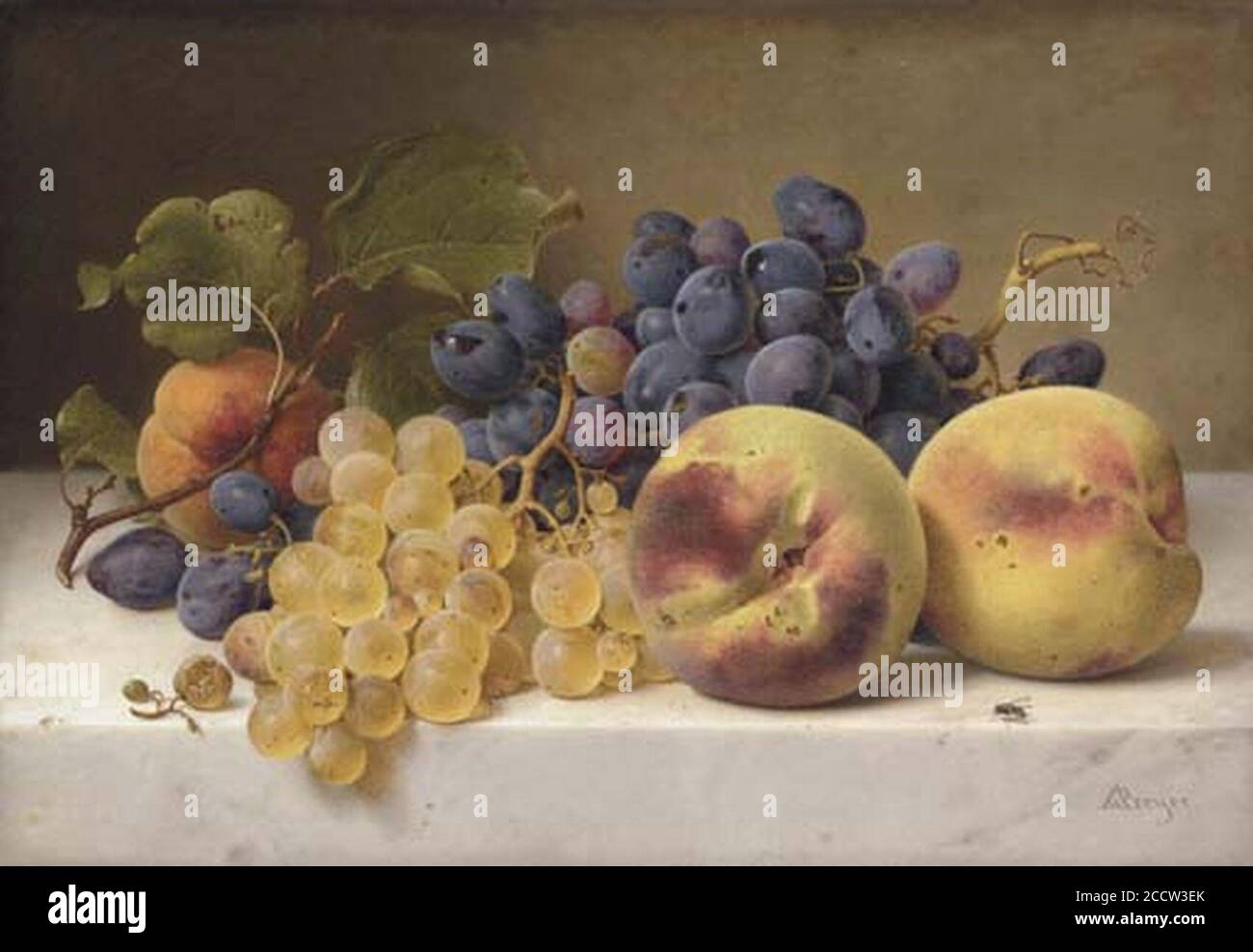 Johann wilhelm preyer hi-res stock photography and images - Alamy