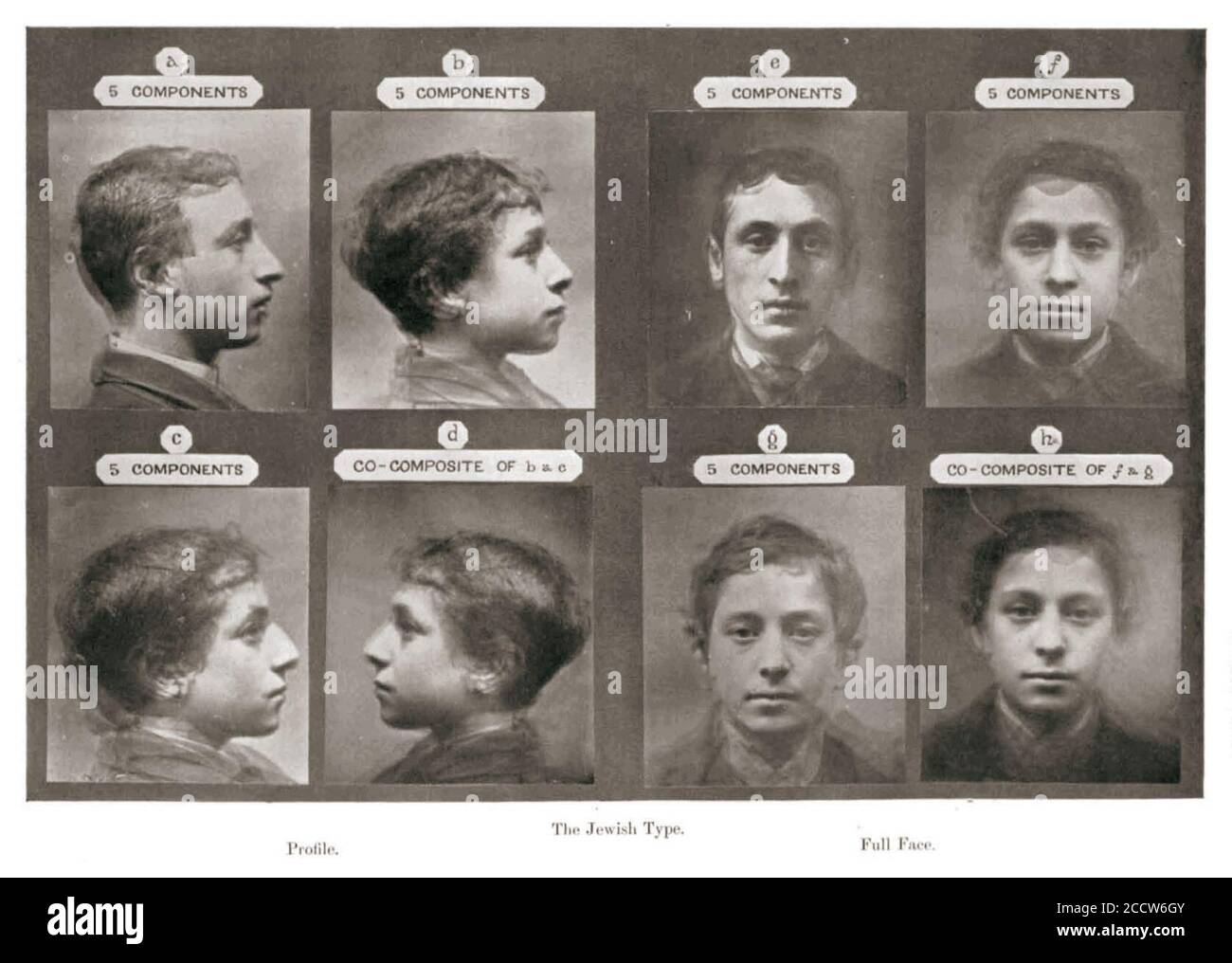 Archive type Cut Out Stock Images & Pictures - Alamy