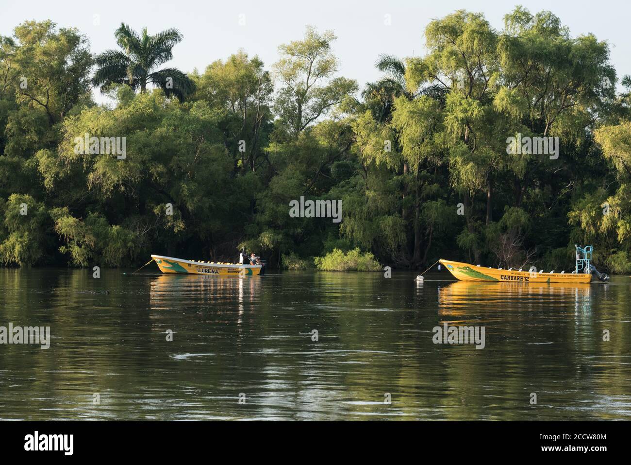 Tour boats on the Grijalva River for visiting Sumidero Canyon National ...