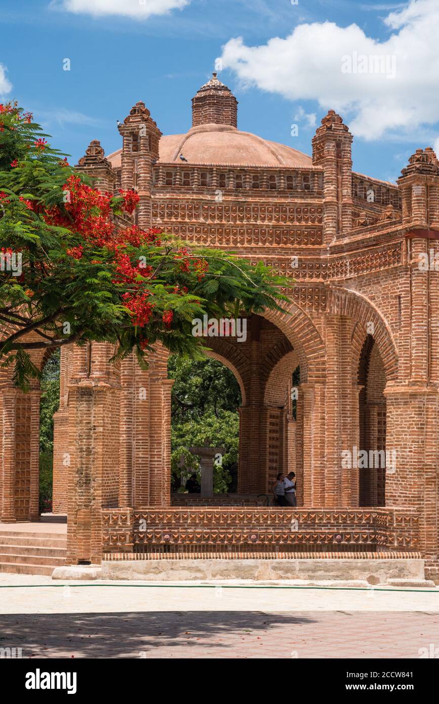 Royal poinciana plaza hi-res stock photography and images - Alamy