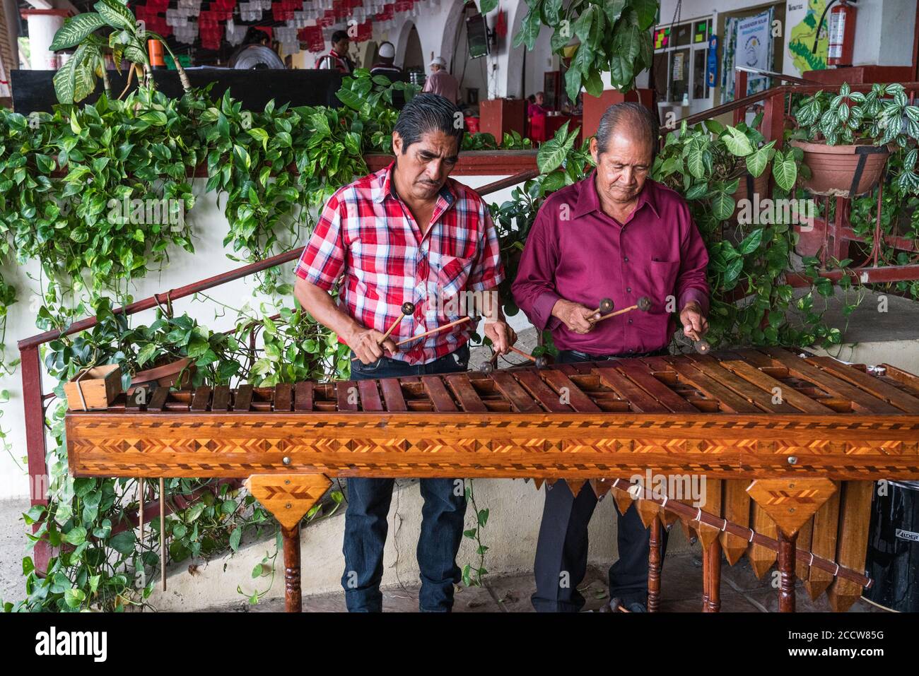 People musicians marimba hi-res stock photography and images - Alamy