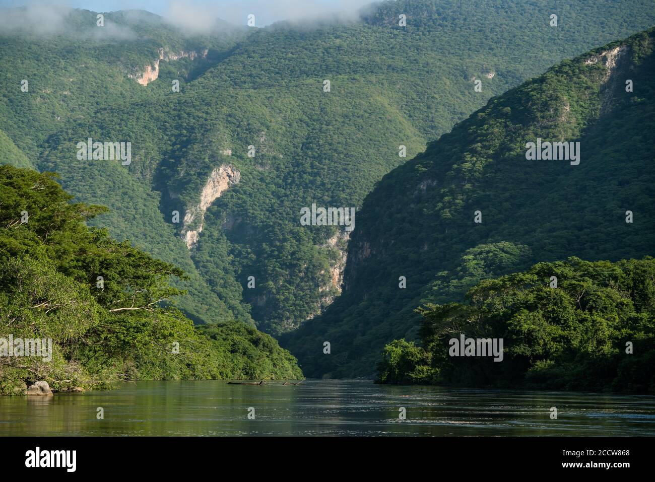 The Grijalva River formed the sheer canyon walls of Sumidero Canyon ...