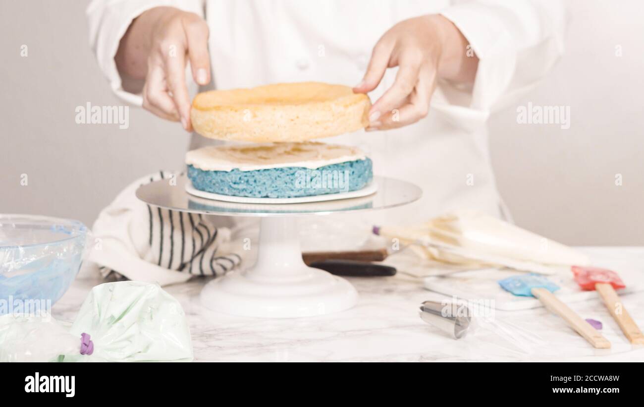 Stacking cake layers to create the round three-layer vanilla cake Stock ...