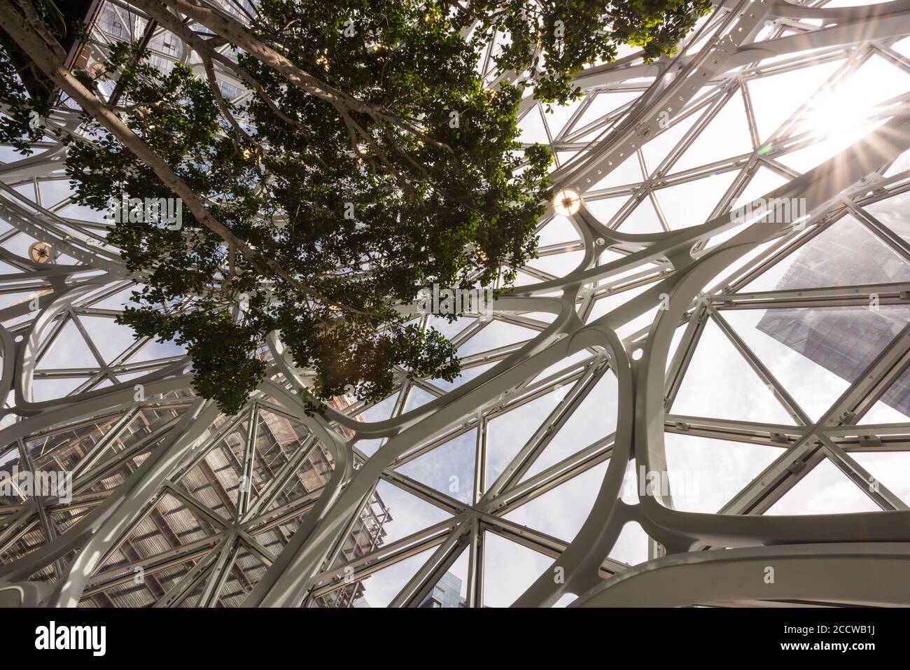 Seattle, USA May 5, 2018: The Amazon Spheres late in the day Stock ...