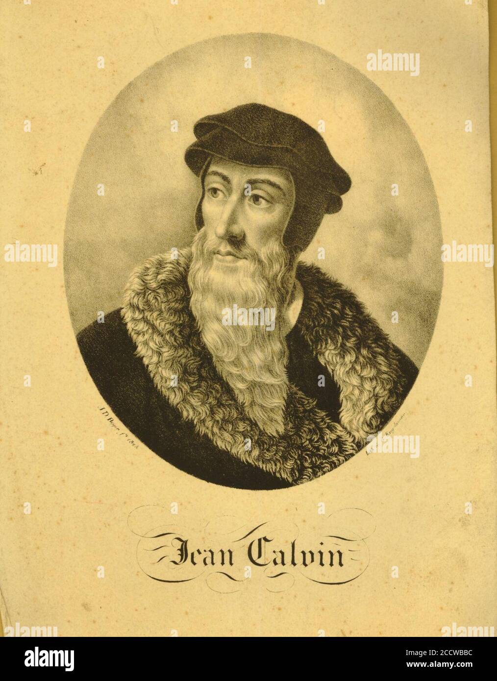 Jean Calvin Biyografiinfo Musée Jean Calvin