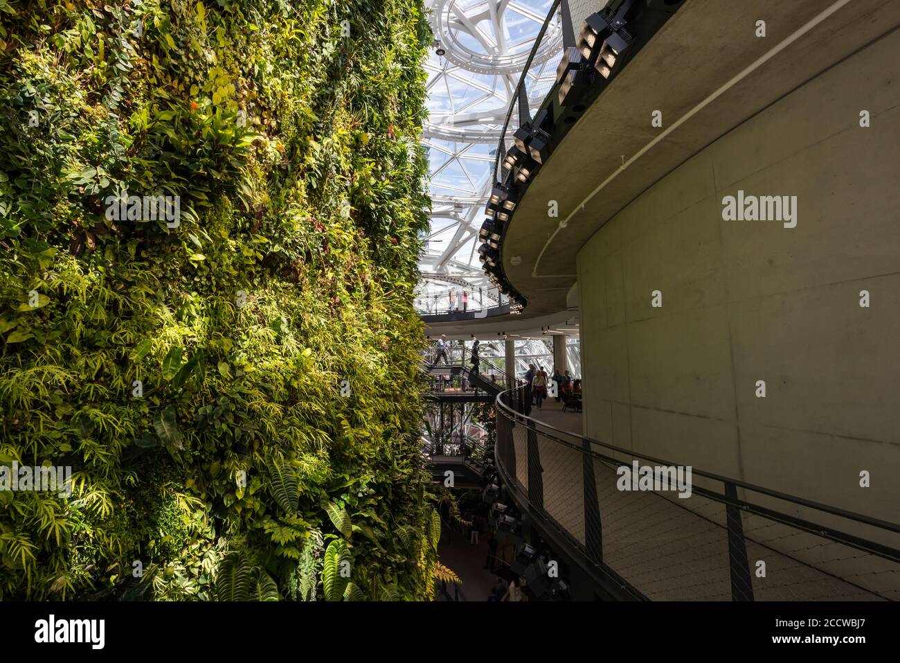 Seattle, USA May 5, 2018: The Amazon Spheres late in the day Stock ...
