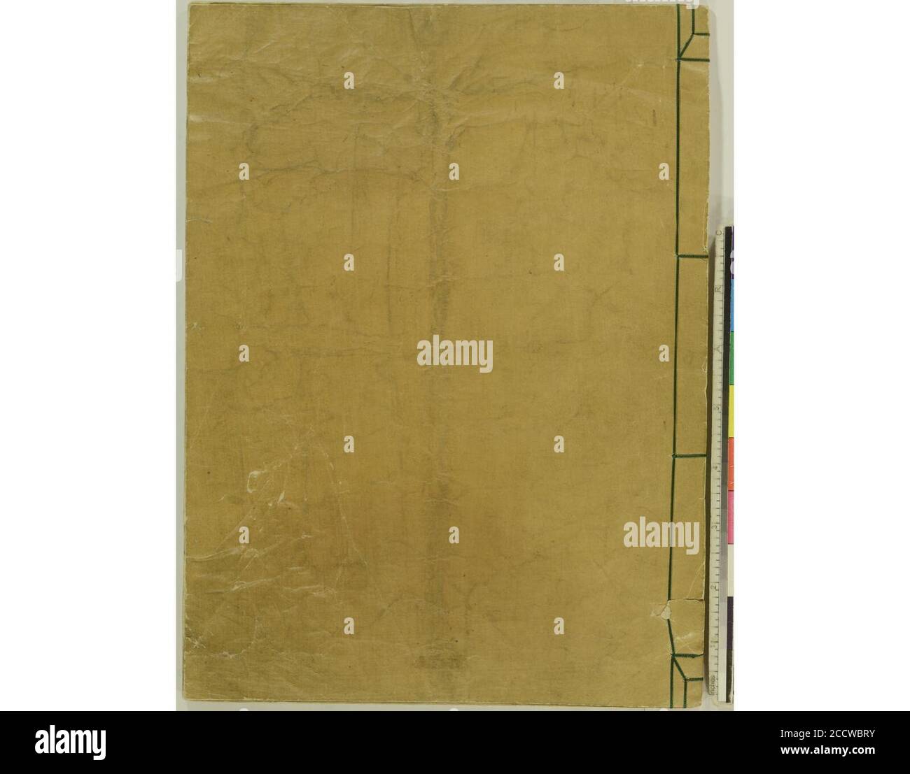 Yuko Watanabe High Resolution Stock Photography and Images - Alamy