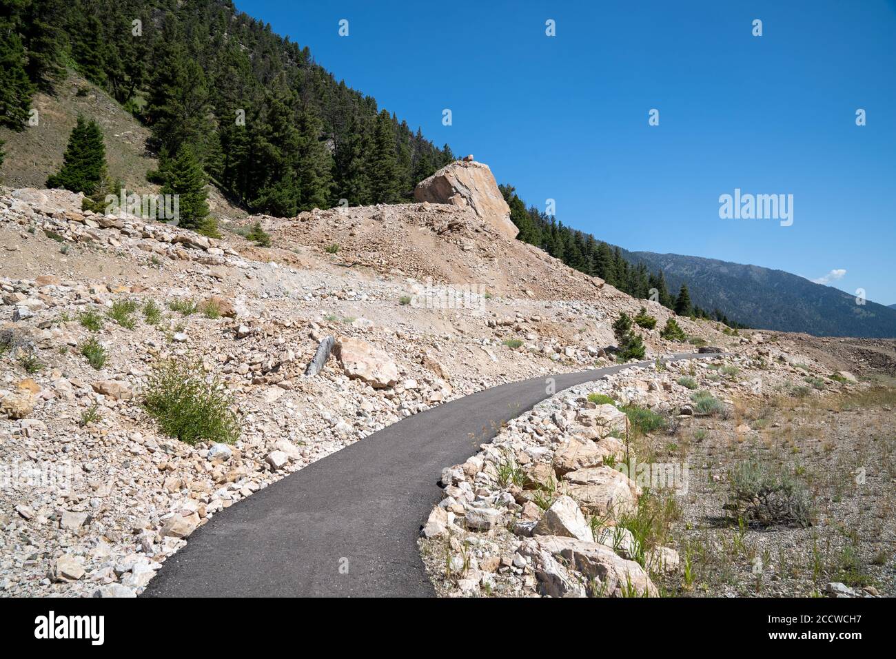 Memorial Boulder trail area at Earthquake Lake in the Gallatin National ...
