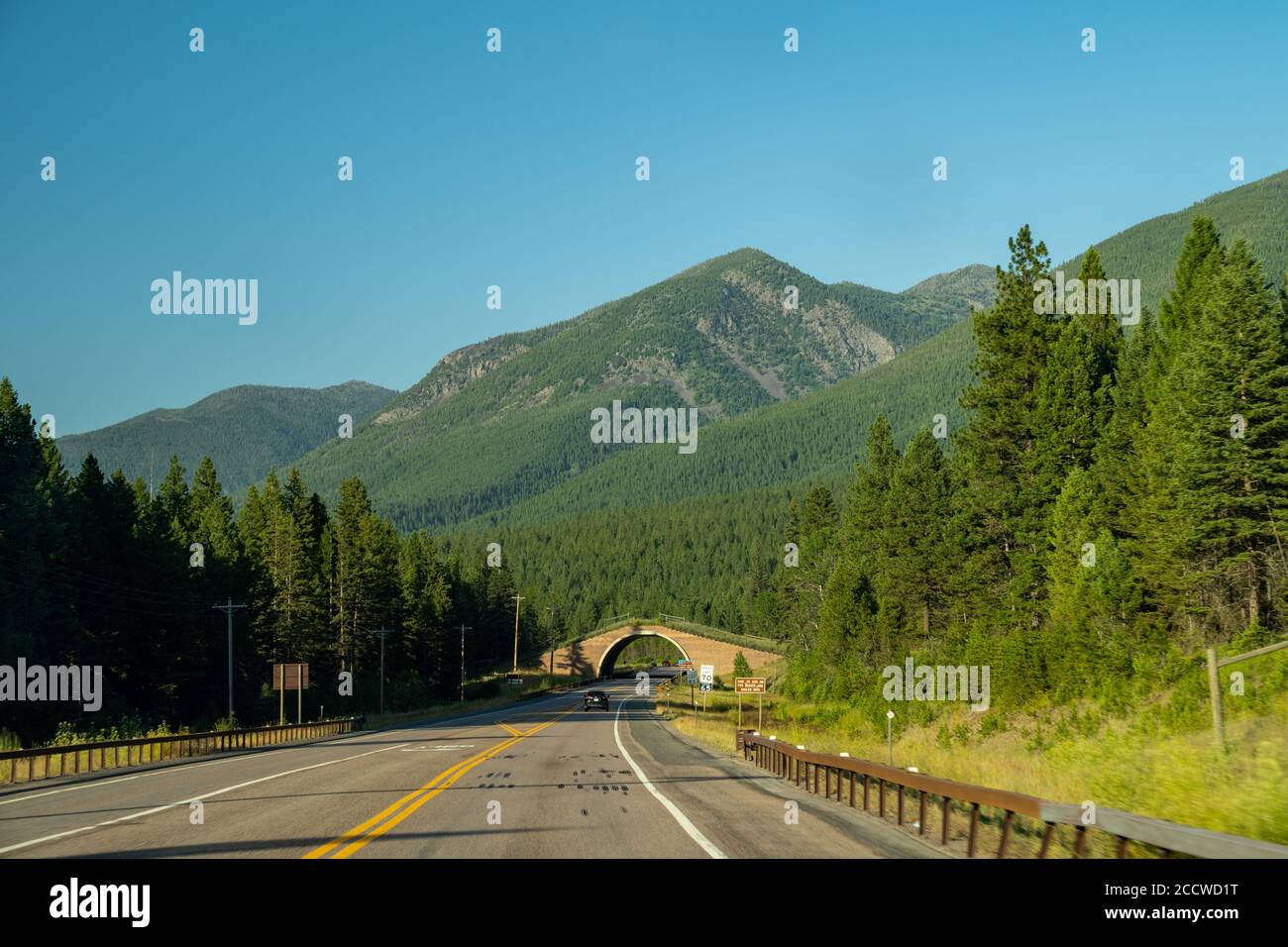 Wildlife animals crossing bridge in the Flathead Reservation area of ...
