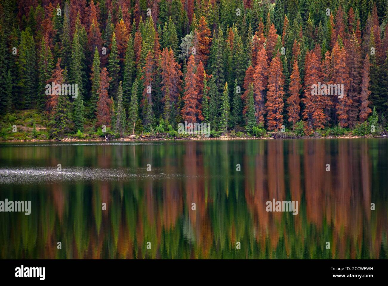 Pyramid lake jasper national park hi-res stock photography and images ...