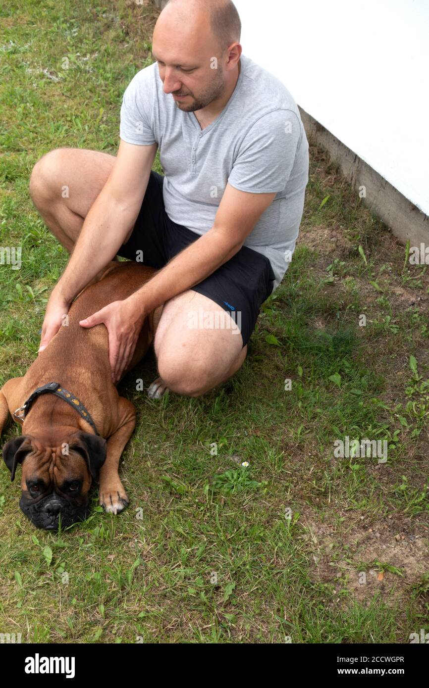 Polish man petting his boxer dog. Zawady Gmina Rzeczyca Poland Stock ...