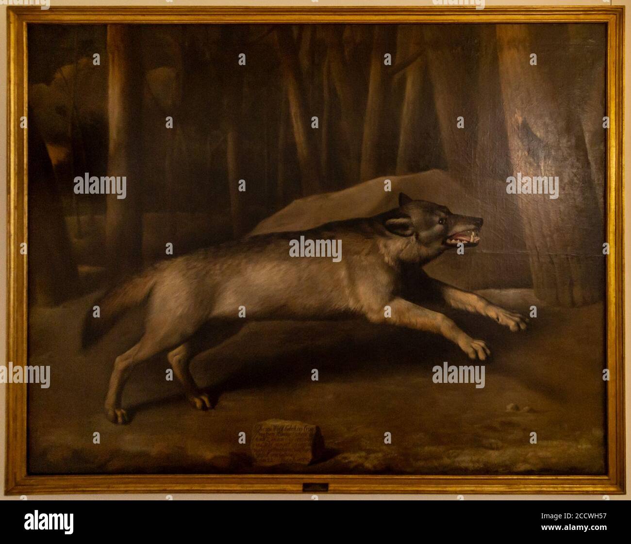 Wolf christof hi-res stock photography and images - Alamy