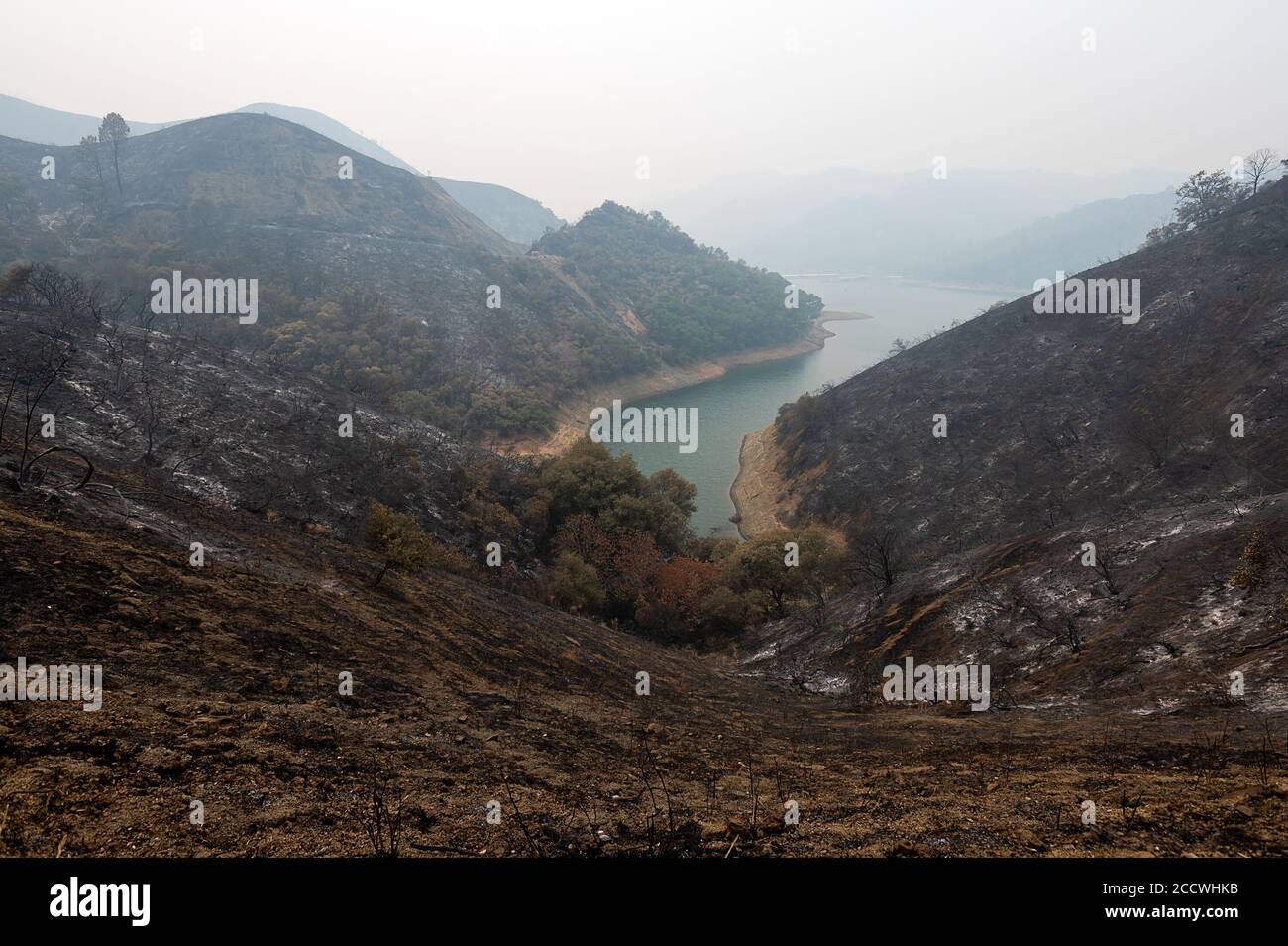 Napa County, CA, USA. 24th Aug, 2020. The LNU Lightning Complex fire ...