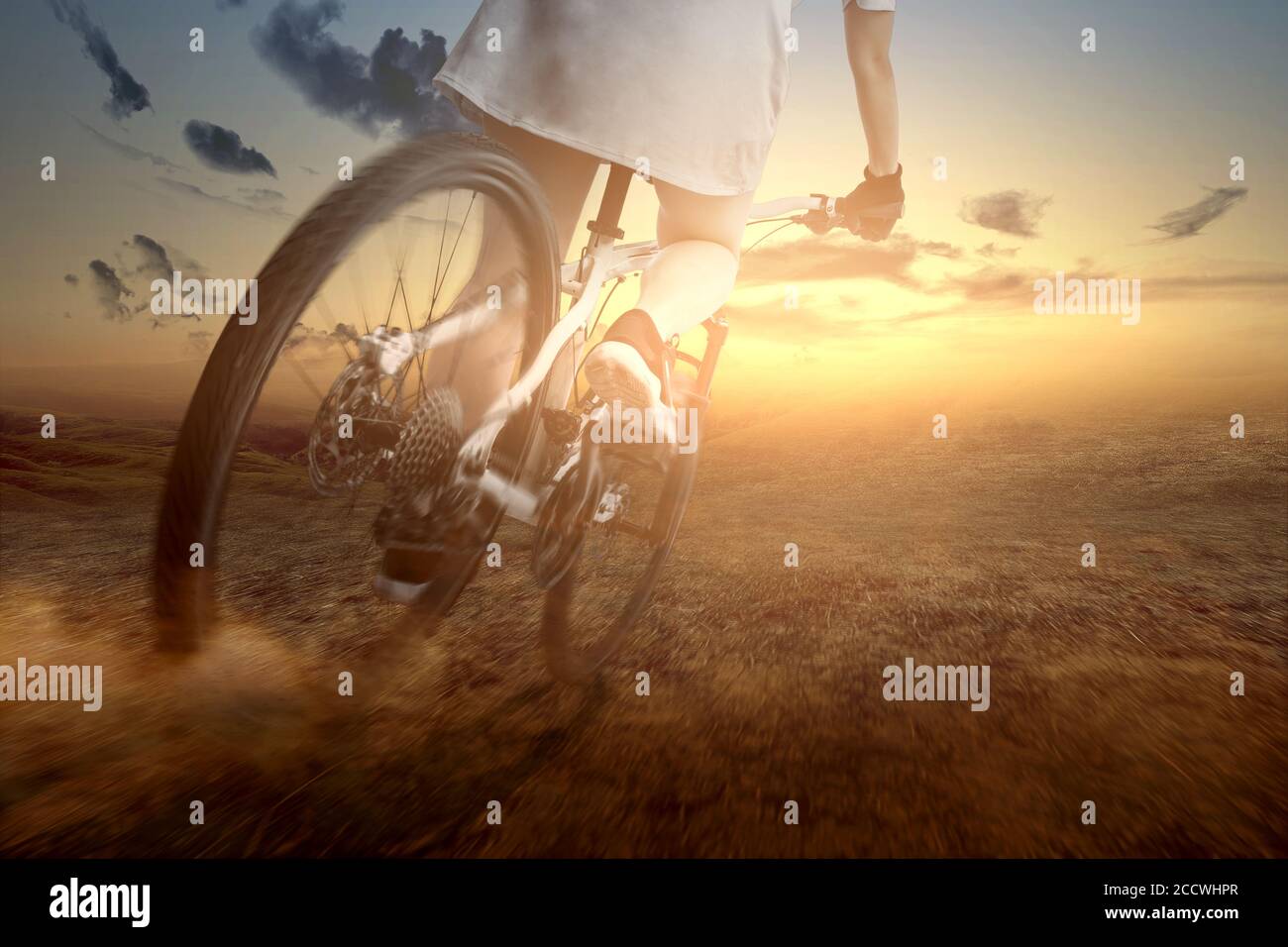 Woman cycling field rear view hi-res stock photography and images - Alamy