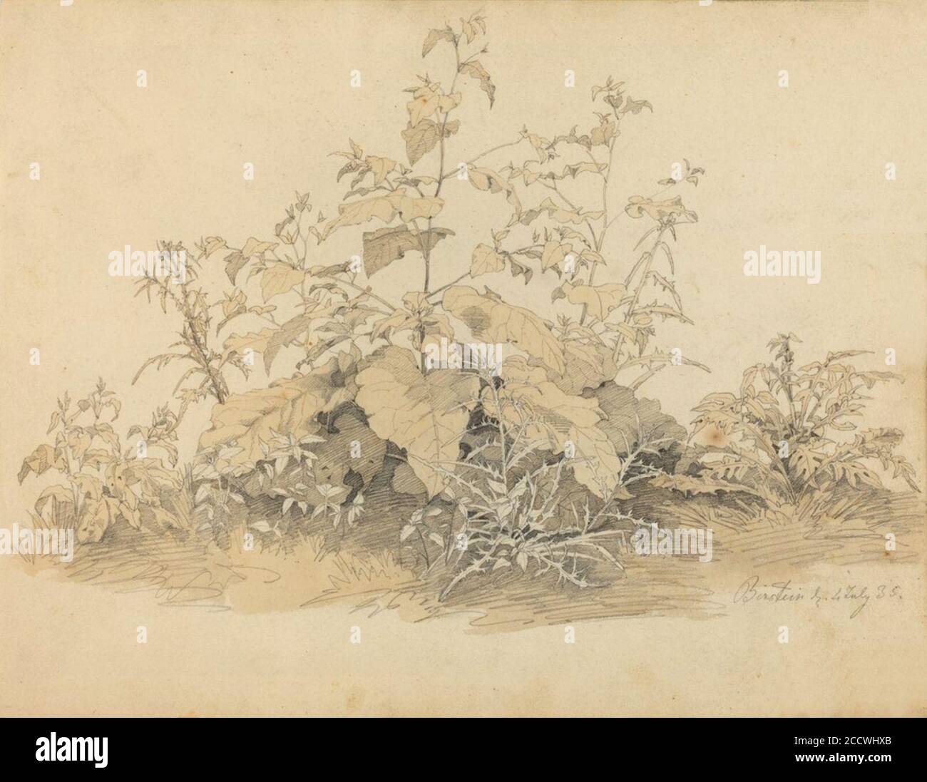 Heerdt hi-res stock photography and images - Alamy