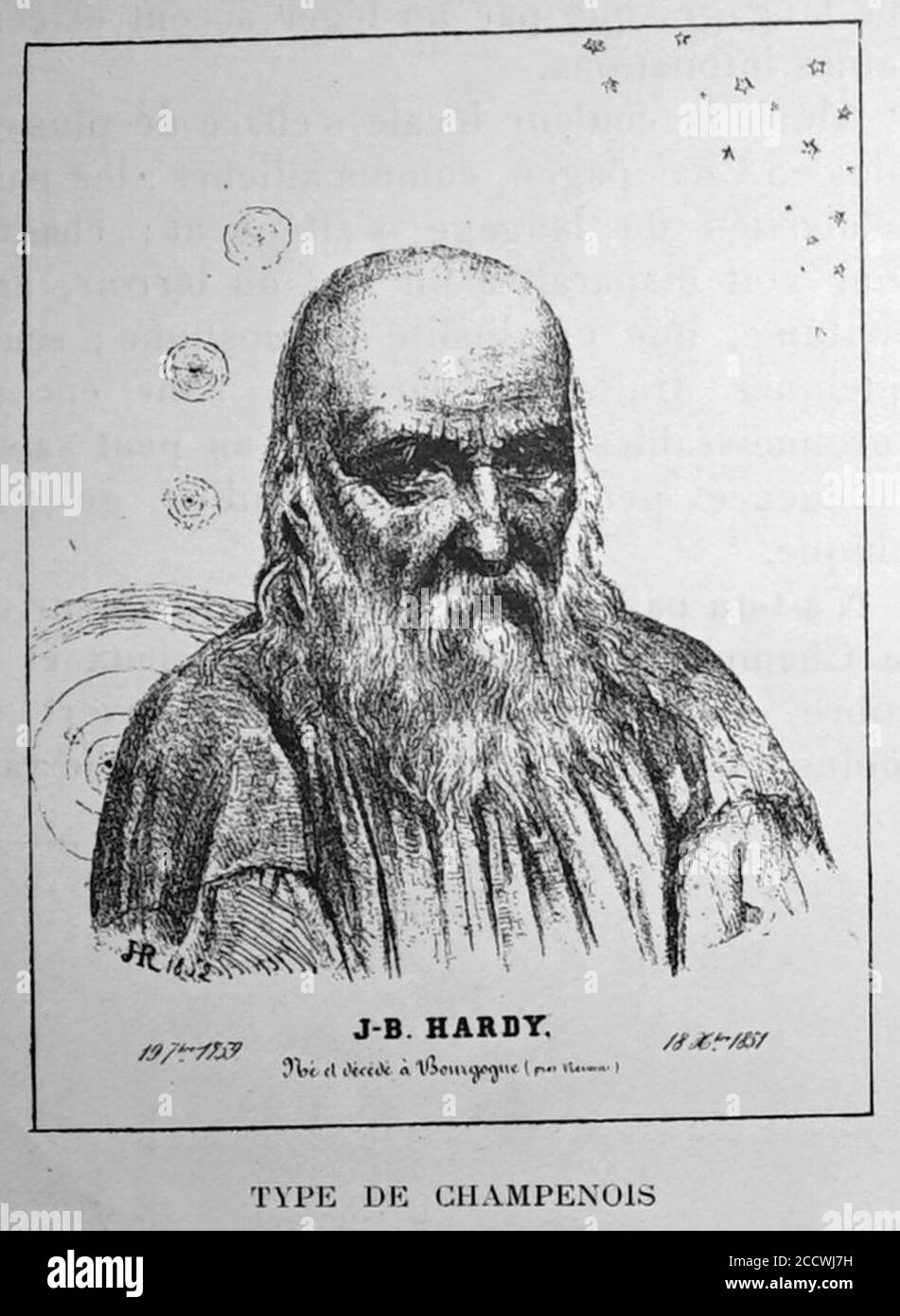 Hardy tree Black and White Stock Photos & Images - Alamy