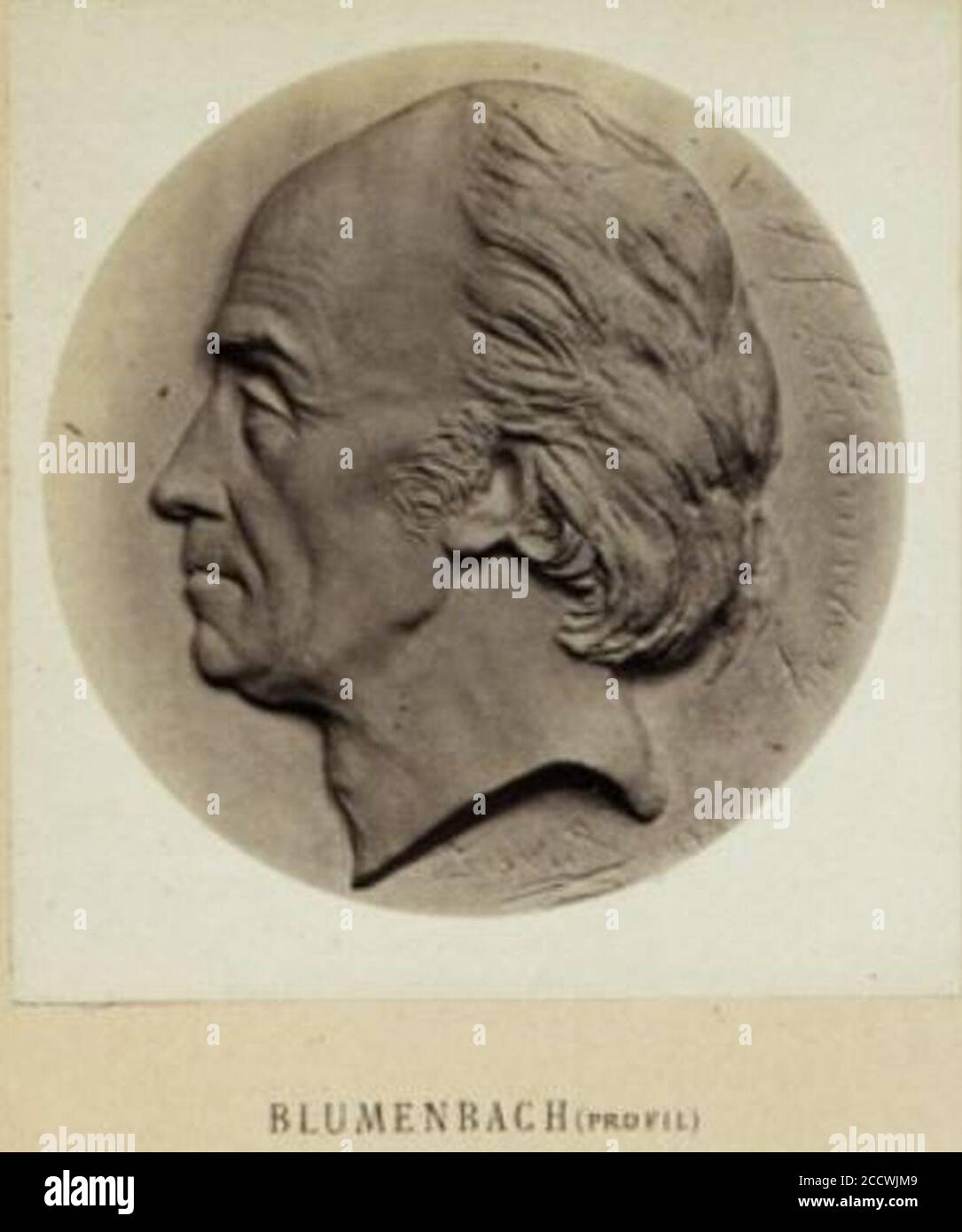 Johann Friedrich Blumenbach de profil médaillon par David d'Angers ...