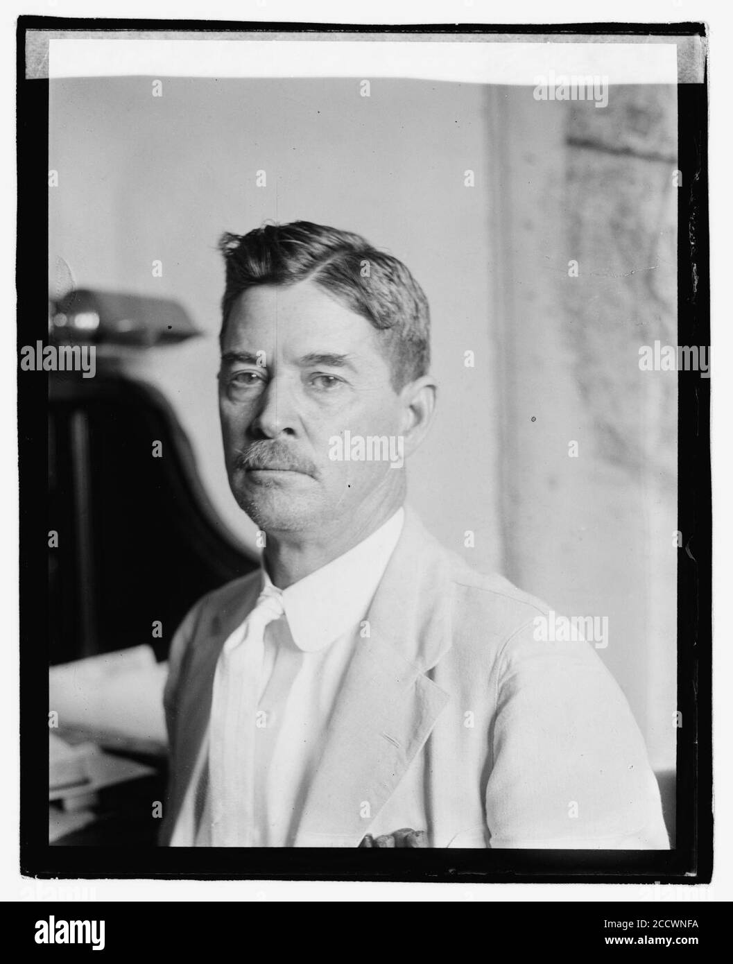 Texas tree Cut Out Stock Images & Pictures - Alamy